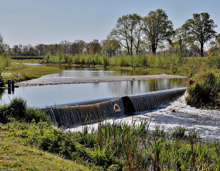 STP Sewage Water Treatment Plant: Guide to Process, Operation & Setup